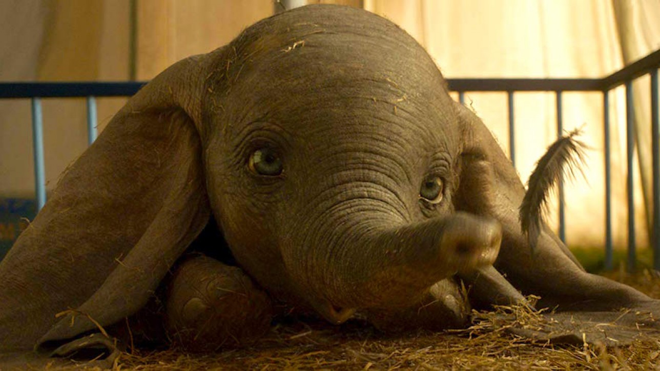 Tim Burtons Version von „DUMBO“ – Neuer Trailer | INDAC
