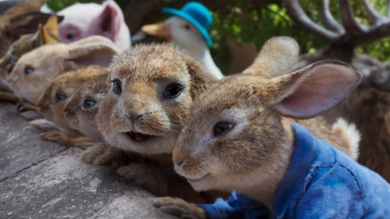 Peter Rabbit 2 – Baddie Baddie Clip – At Cinemas Now | INDAC